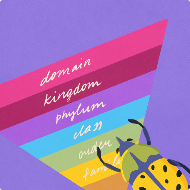 Discover Videos That Make A Difference | ClickView