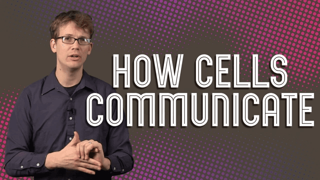 Back to school with ClickView | ClickView